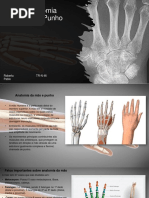 Aula 6 Ossos, Músculos, Inervação e Vascularização Do Punho e Mão | PDF ...