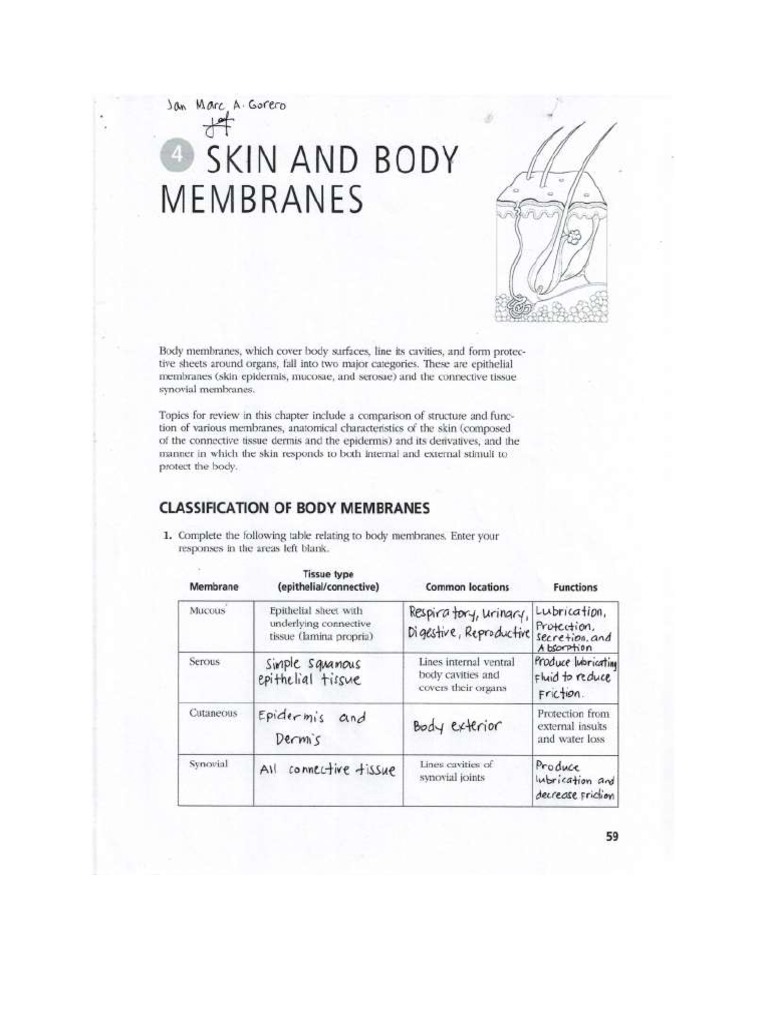 Skin and Body Membranes | PDF