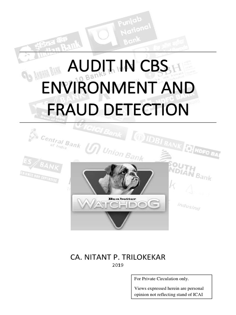 CBS Audit Fraud Detection | PDF | Banks | Audit