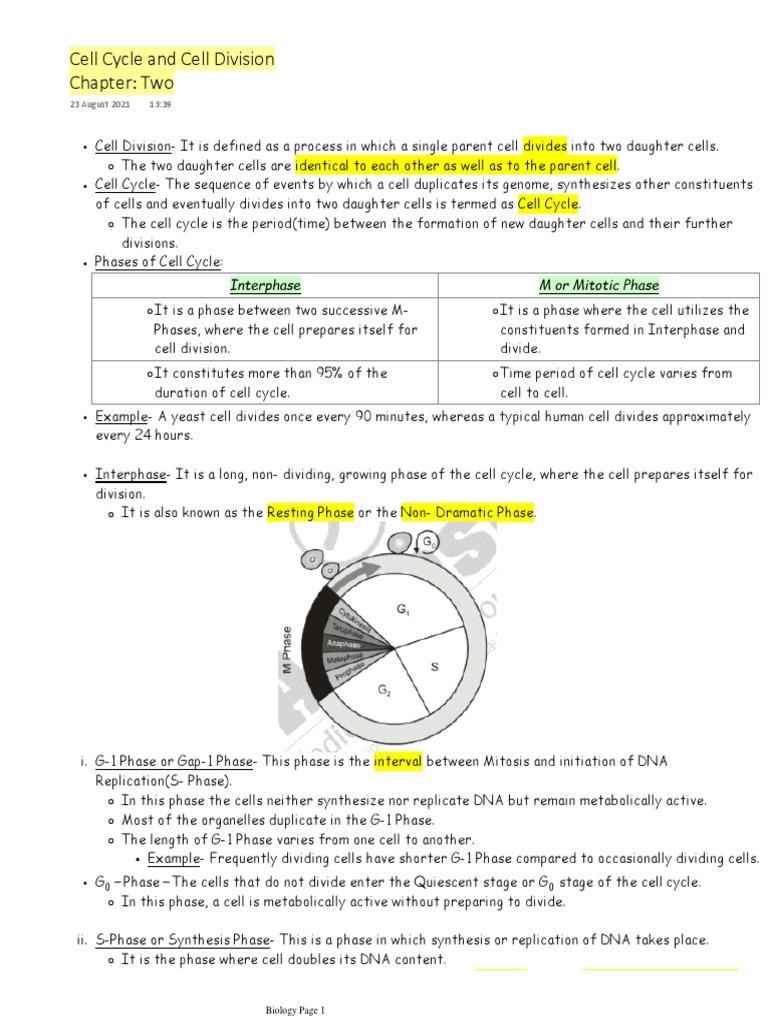 Cell Cycle and Cell Division - Notes | PDF | Meiosis | Mitosis