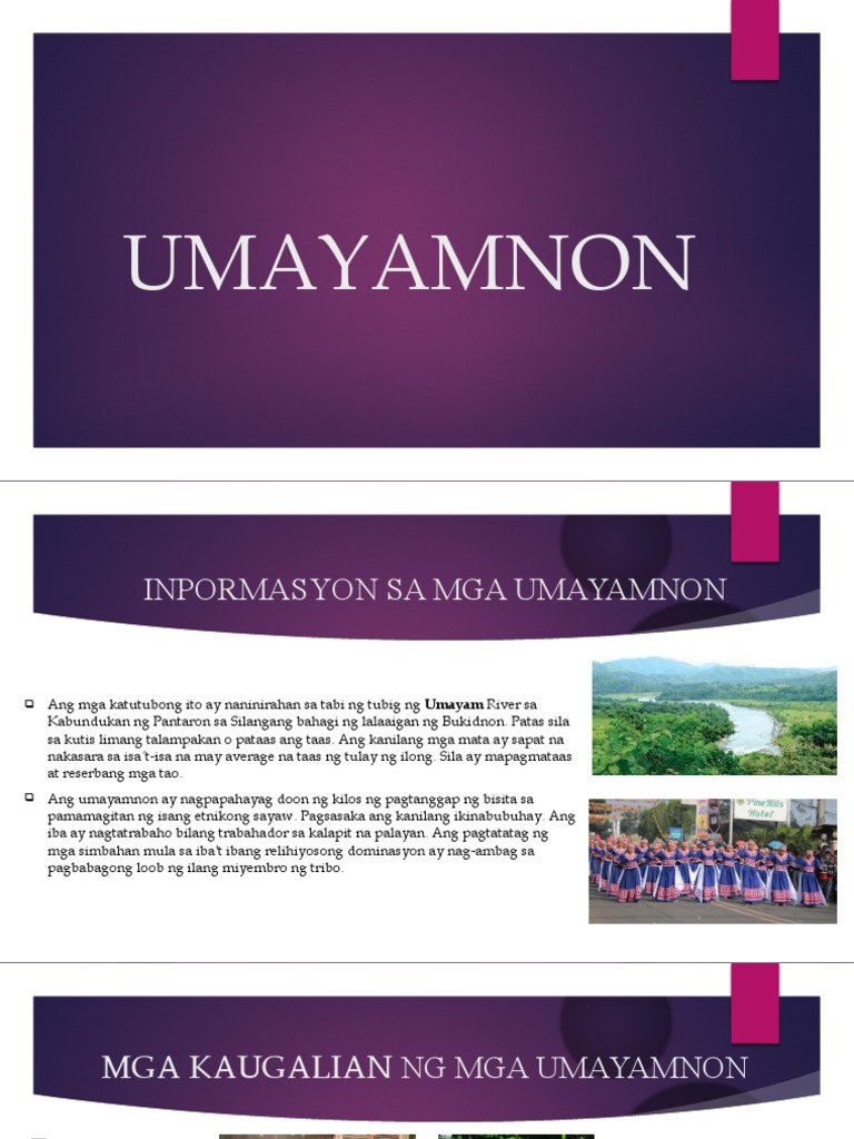 Umayamnon Reporting 2 | PDF