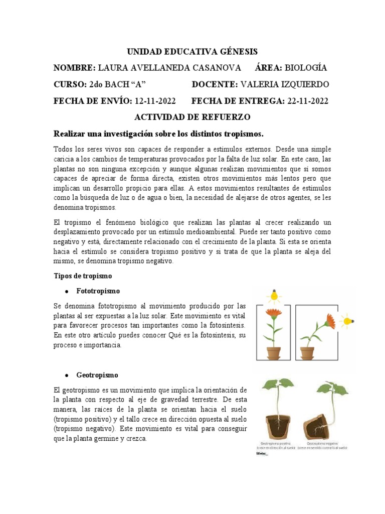 Tipos y Ejemplos de Tropismos en Plantas | PDF | Botánica | Plantas