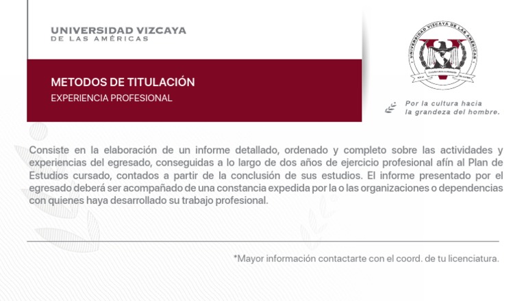 Experiencia Profesional | PDF