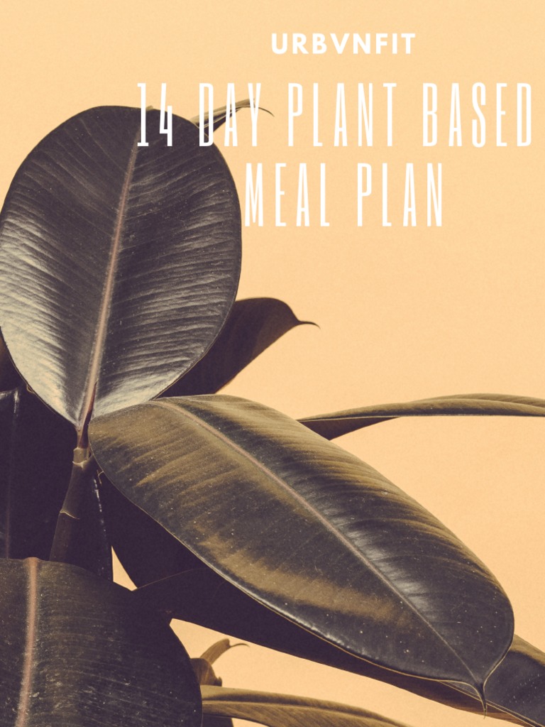 URBVNFIT Plant Based Meal Plan | PDF | Smoothie | Salad