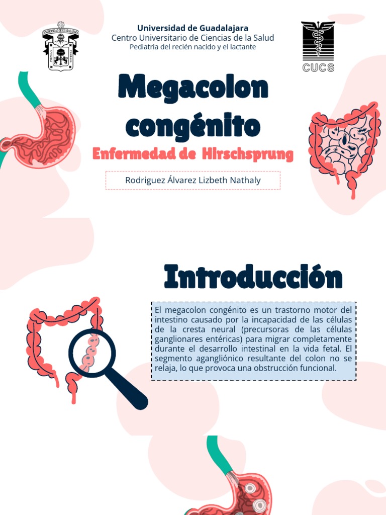 Megacolon Congénito | PDF | Especialidades Medicas | Ciencias de la Salud