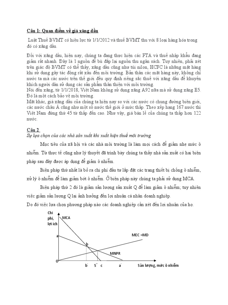 11-Đ Đình Khương-Bvmt | PDF