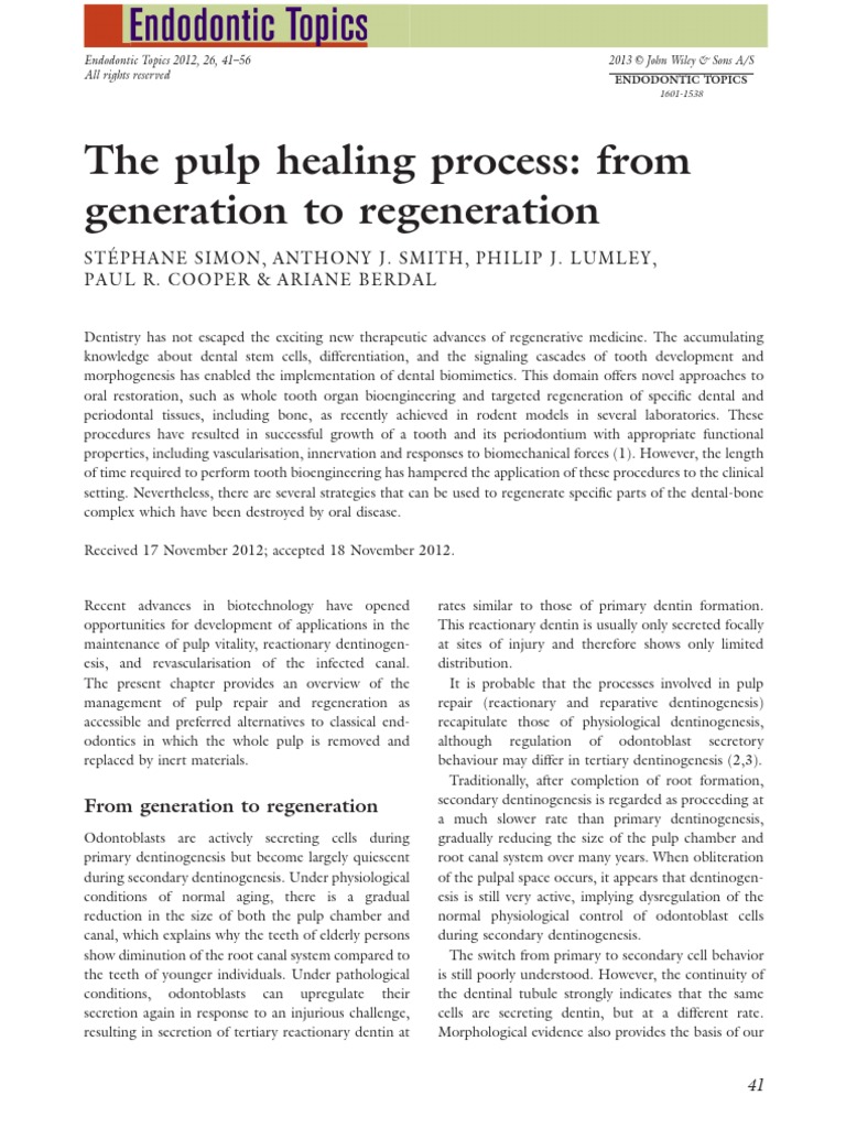 Pulp Healing | PDF | Dentin | Extracellular Matrix