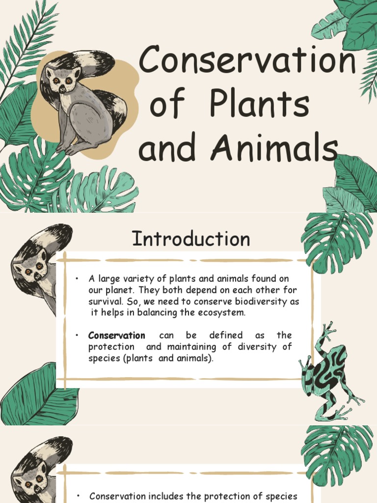 B8-Conservation of Plants and Animals | PDF | Deforestation ...