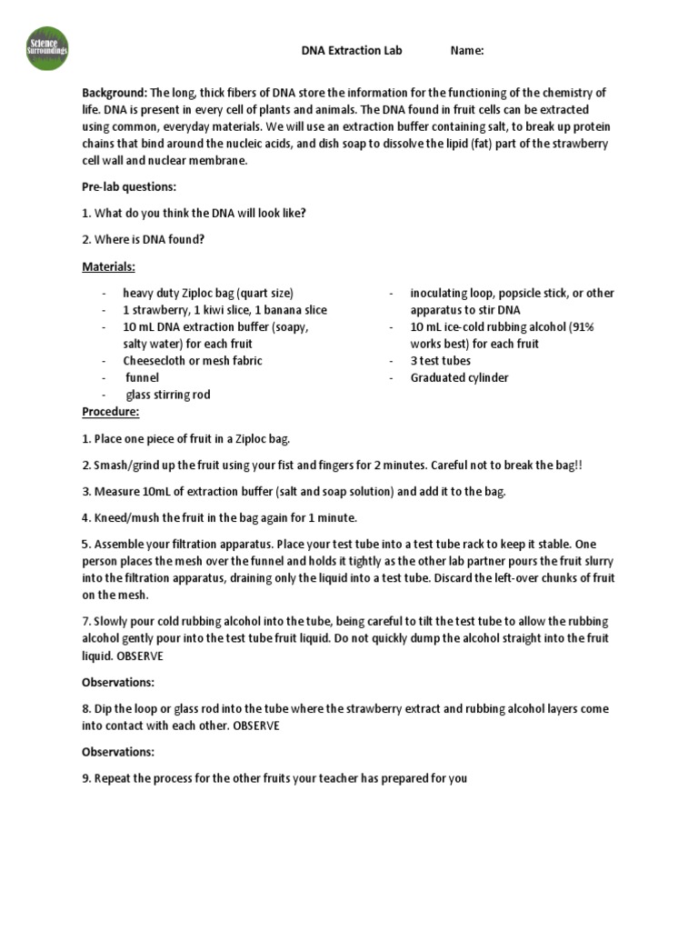 DNA Extraction Lab | PDF | Dna | Cell (Biology)