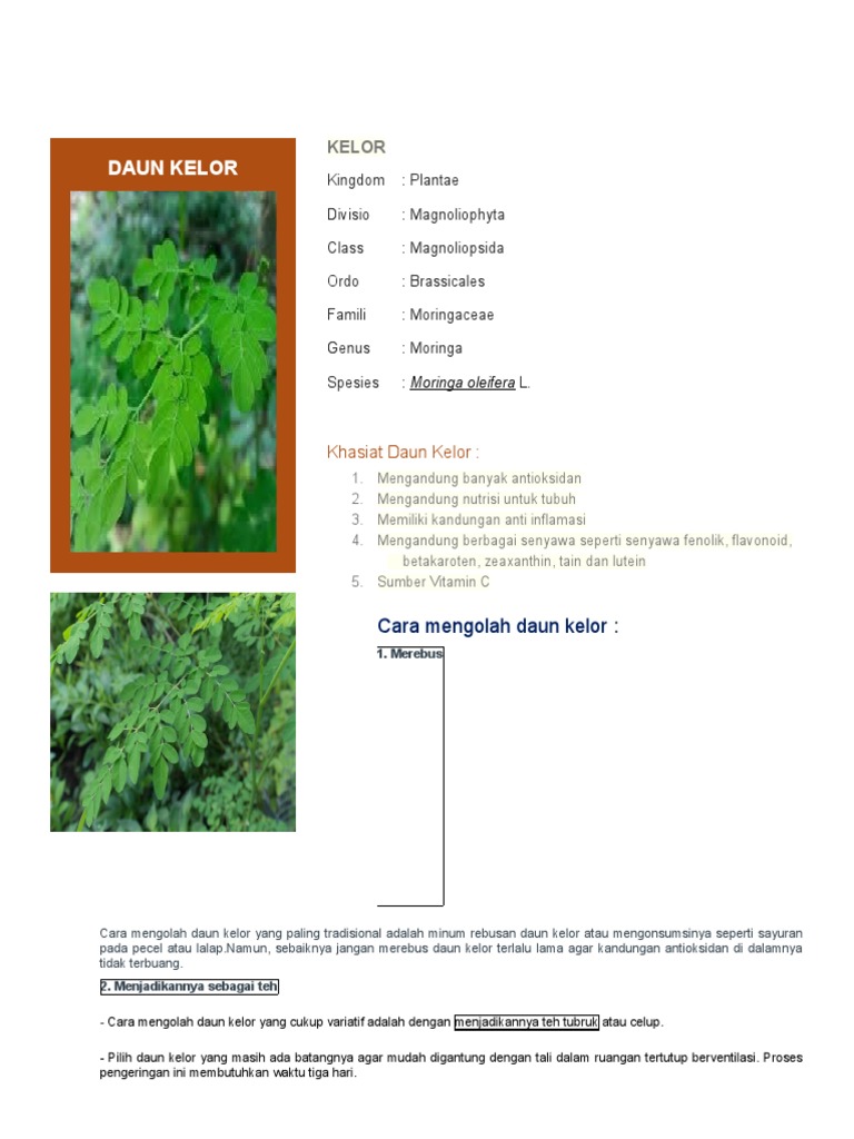 Kelor | PDF | Sains & Matematika