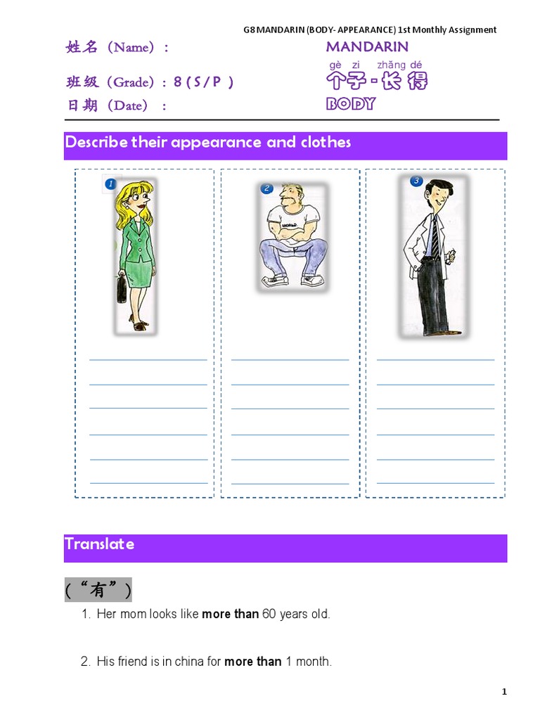Mandarin Assignment: Describing Appearance | PDF