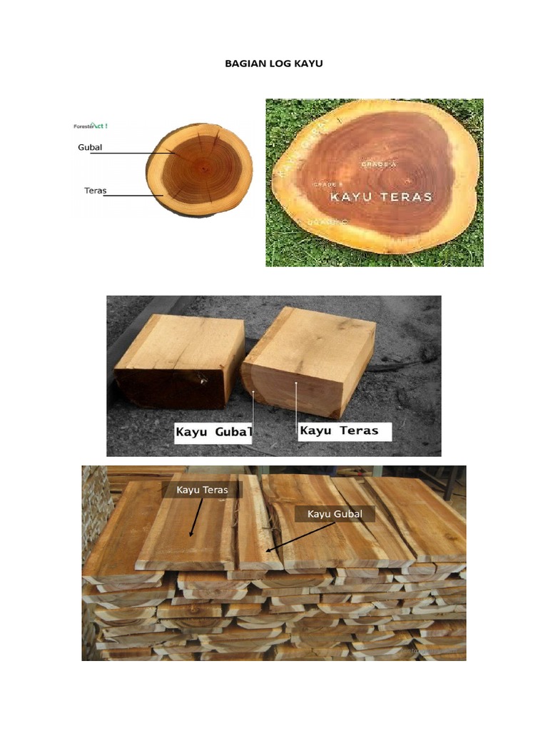 Bagian-Bagian Log Kayu | PDF