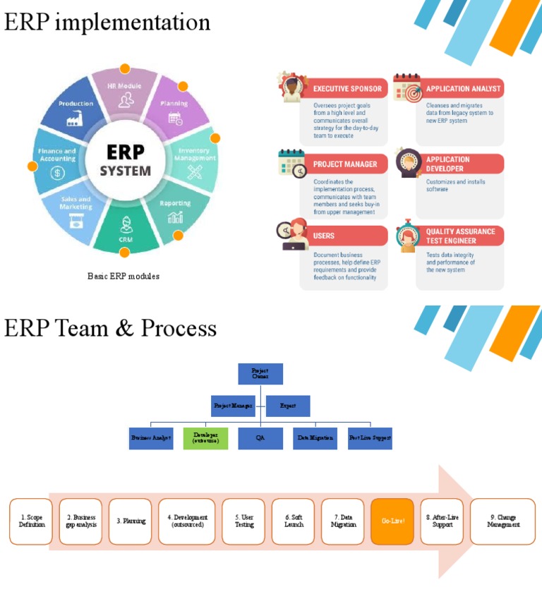 ERP implementation | PDF