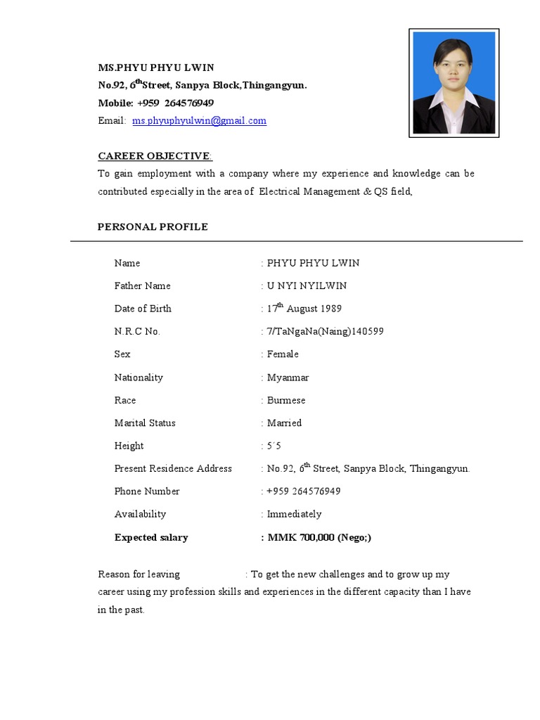 Phyu Phyu Lwin CV | PDF | Specification (Technical Standard) | Engineering