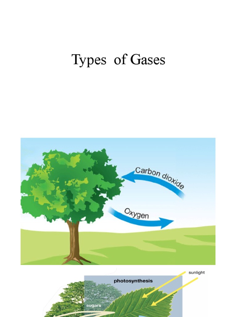 Types of Gases | PDF