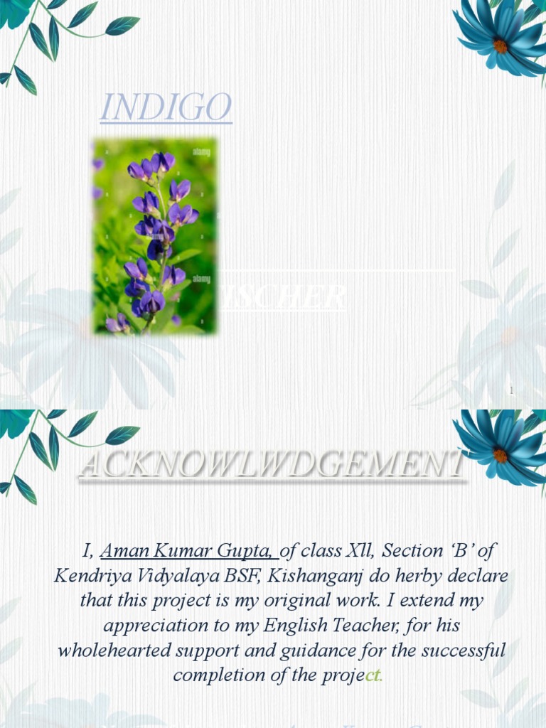 Indigo | PDF | Mahatma Gandhi