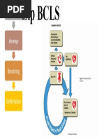 Algoritma Takiaritmia Dan Bradiaritmia | PDF