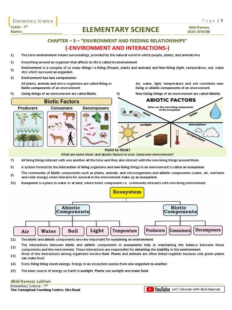 Environment - Working | Download Free PDF | Natural Environment | Ecosystem