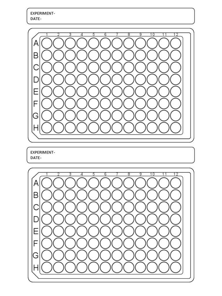 96 Well Plate Template Layout | PDF | Business