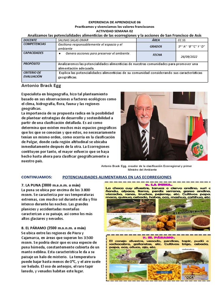 Sesion 2 5° Exp6 | PDF | Selva | Alimentos