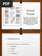 Animal Tissue Grade 10 Term 3 Notes Summaries | PDF