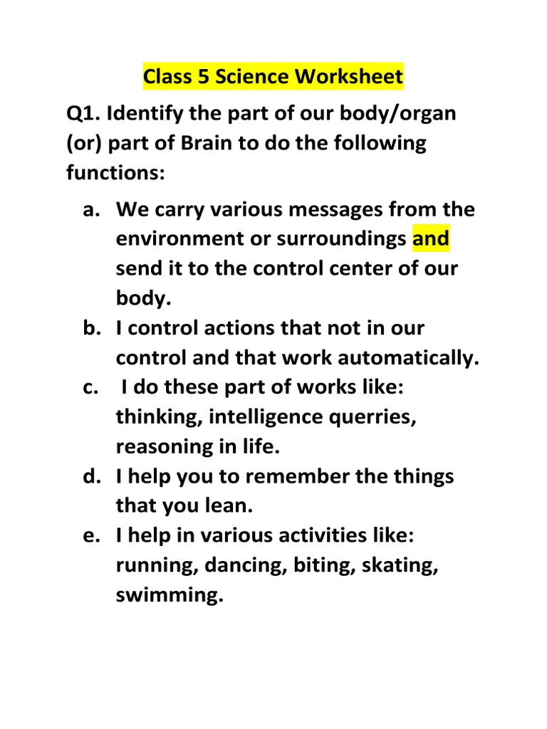 Class 5 Science Worksheet | PDF | Skeleton | Musculoskeletal System