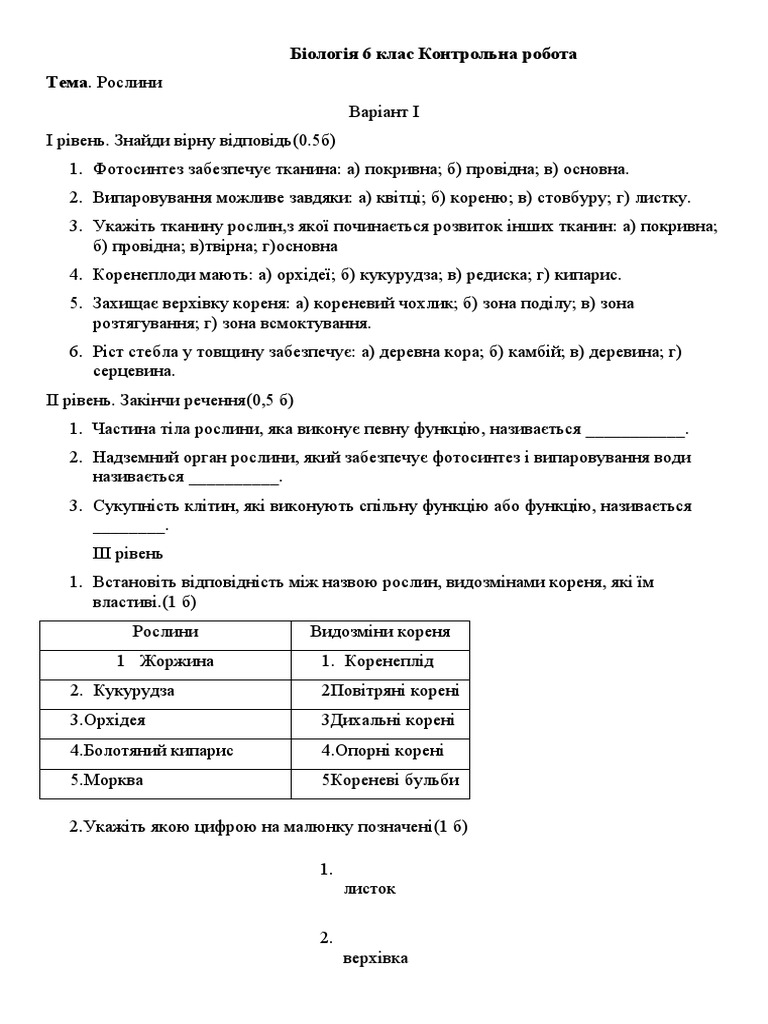 209018 | PDF