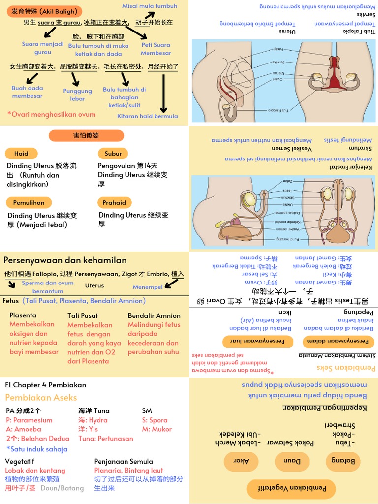 F1 Chapter 4 Pembiakan | PDF
