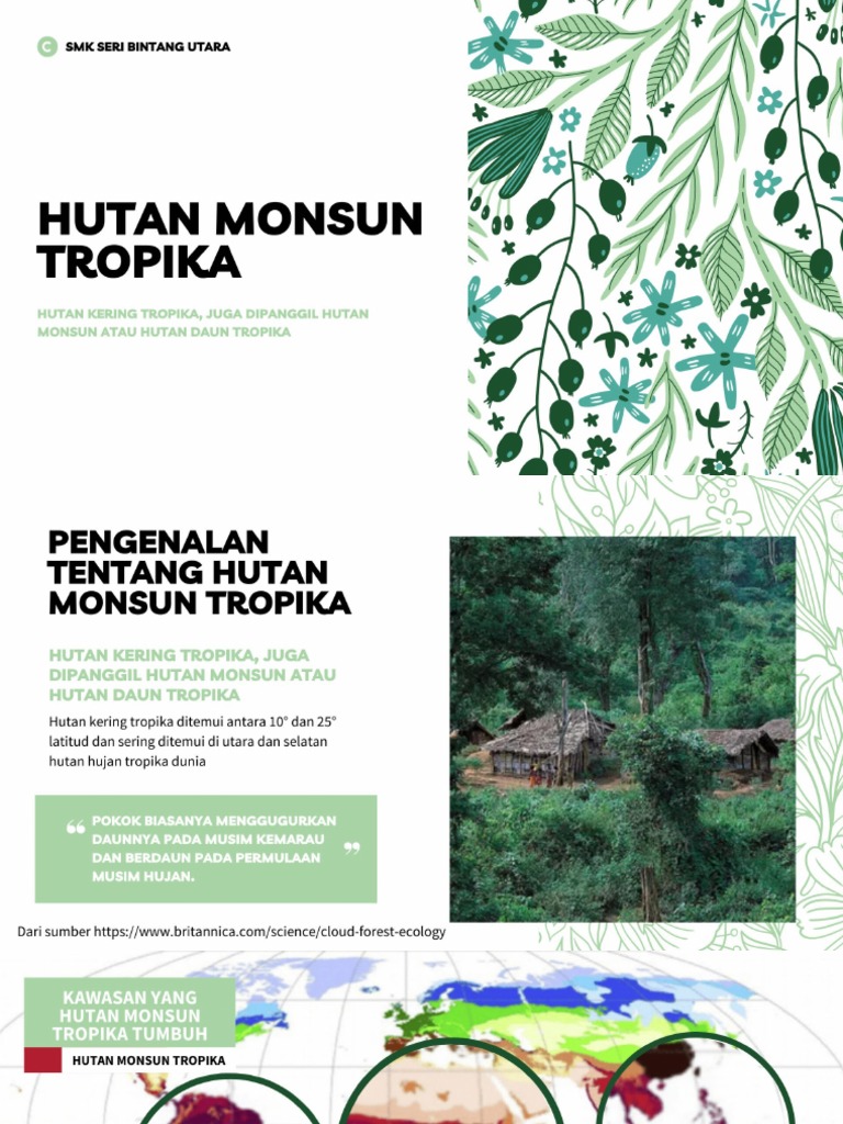 Hutan Monsun Tropika | PDF