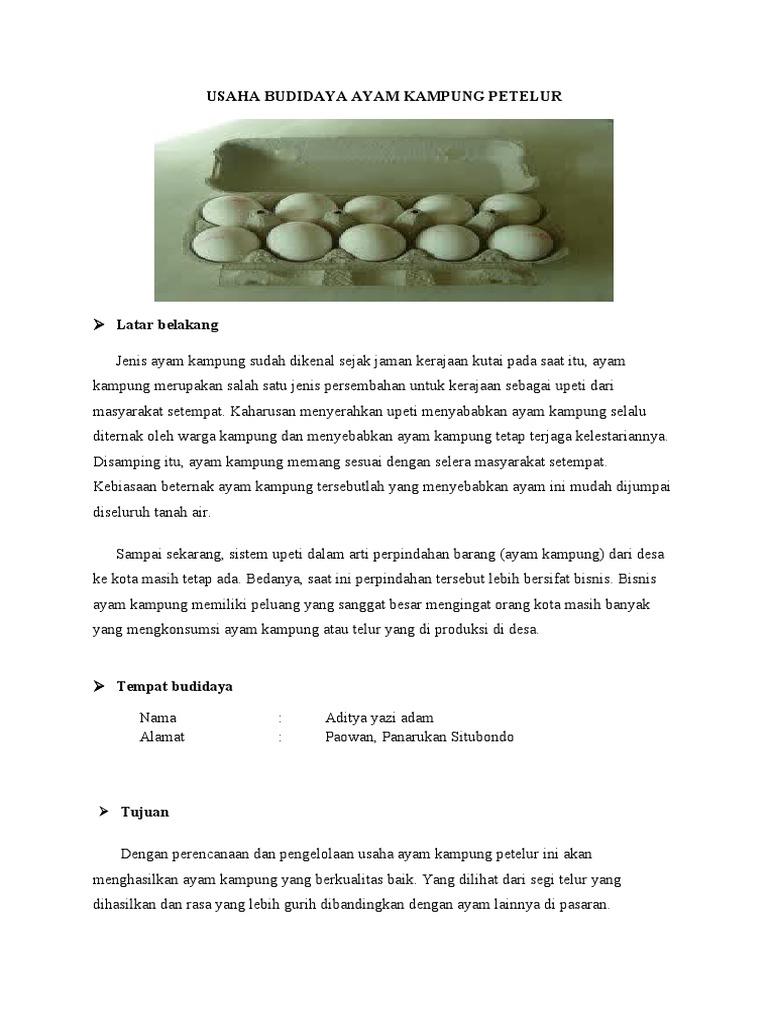 Ternak Ayam Petelur | PDF