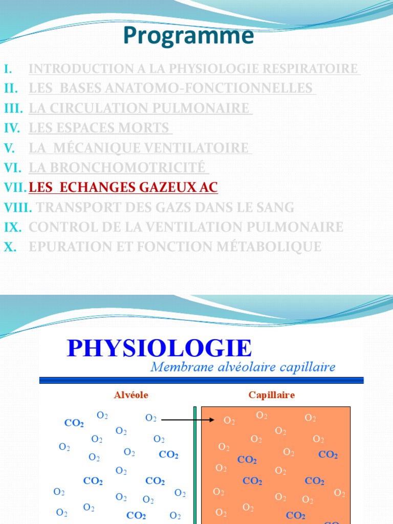 Echanges Gazeux AC | PDF | Respiration | Poumon