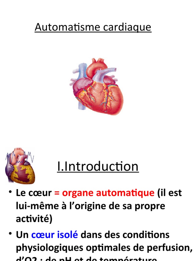 Automatisme Cardiaque | PDF | Contraction du muscle | Électrocardiographie