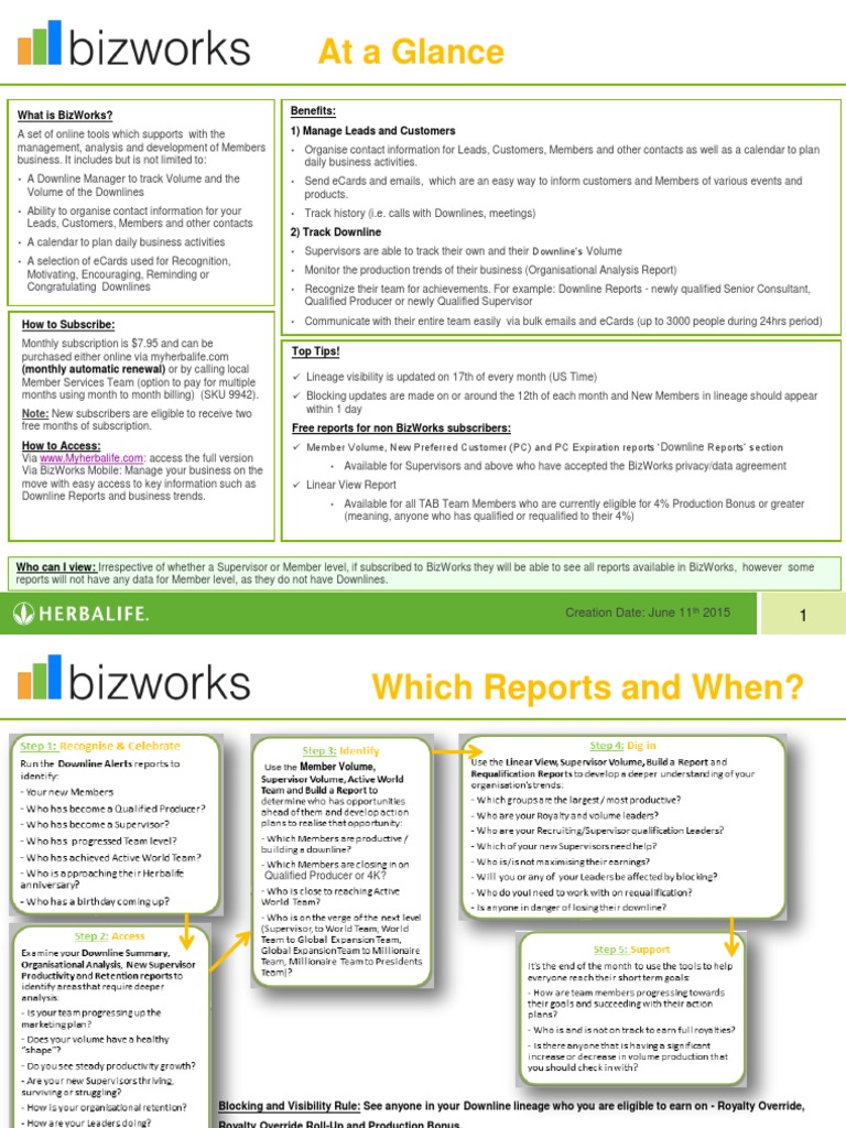 BizWorks at A Glance | PDF | Subscription Business Model | Information Age