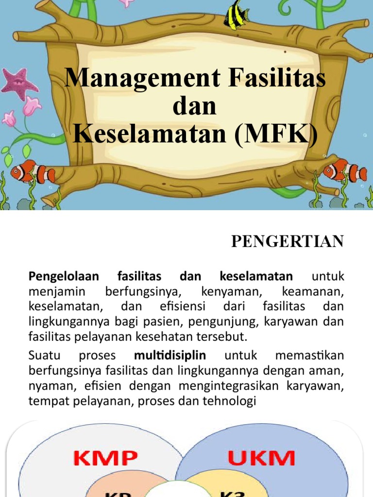MFK Program Management | PDF
