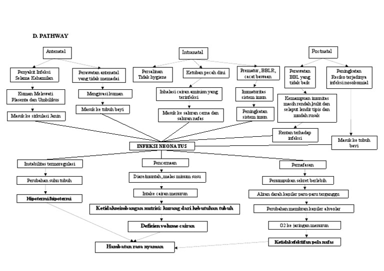 Pathway Infeksi Neonatus dan Sepsis | PDF