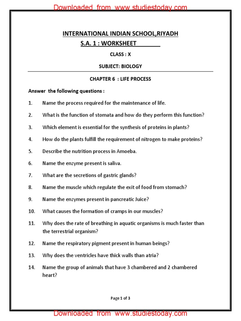 Class 10 Science Biology Worksheet | PDF | Hormone | Stomach