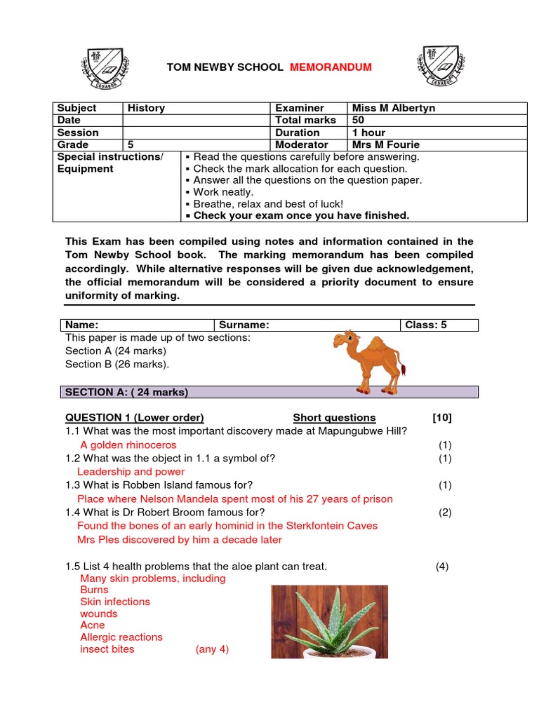 Grade 5 History Memo November 2019 Print | PDF | Ancient Egypt | Apartheid