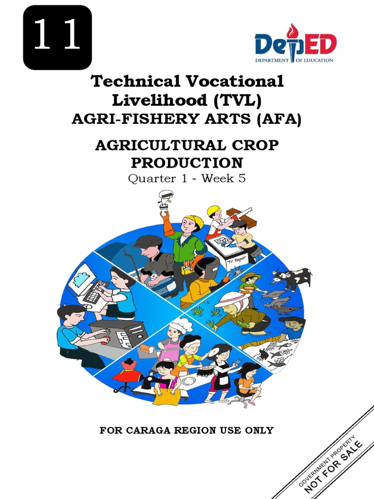 q1 Las TVL Agricrop Week5 | PDF | Wound | Burn