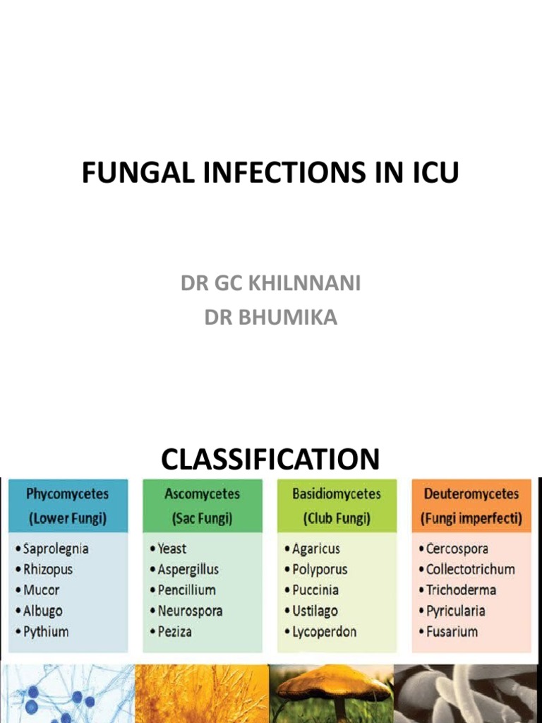 Fungal Infections in Icu | PDF | Clinical Medicine | Fungus