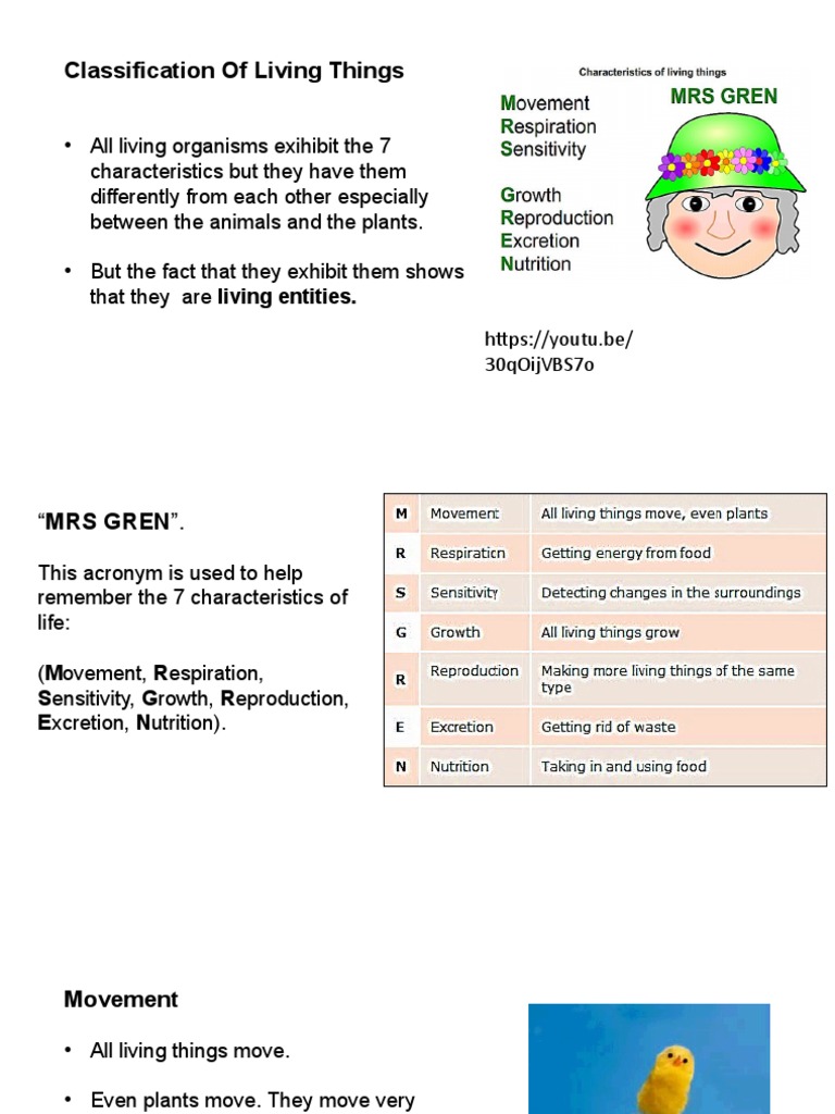 3.1 The Characteristics of Living Things | PDF | Foods | Plants