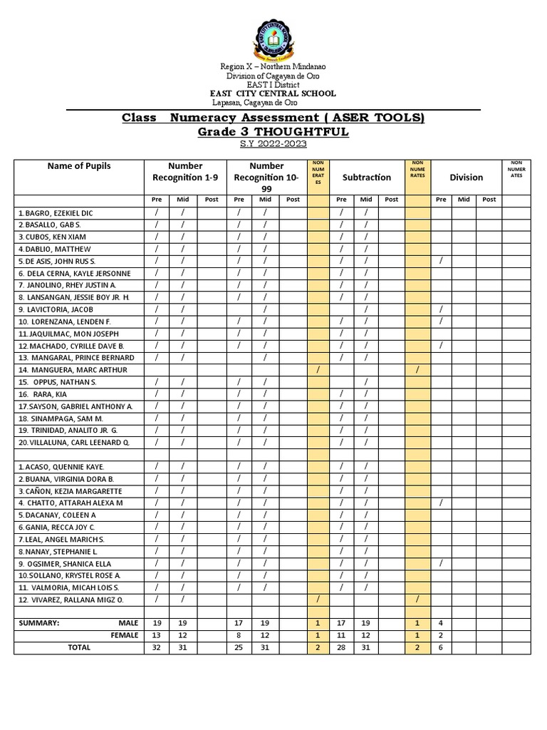 Grade 3 Numeracy Assessment Results | PDF