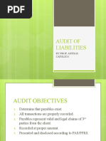 AASC Membership and Structure Overview | PDF | Internal Audit | Audit