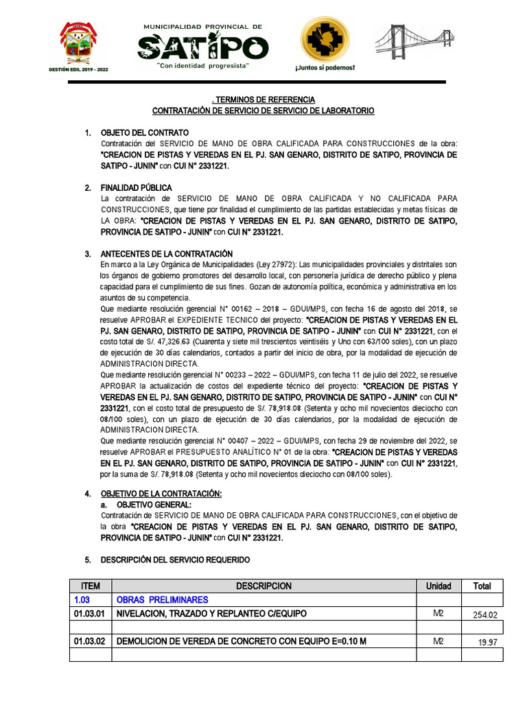 01 TDR SERVICIO DE MANO DE OBRA CALIFICADA Correjido | PDF | Gobierno ...