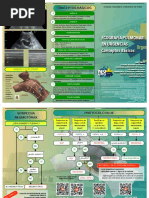 Protocolo Blue | PDF | Enfermedades y trastornos | Neumología