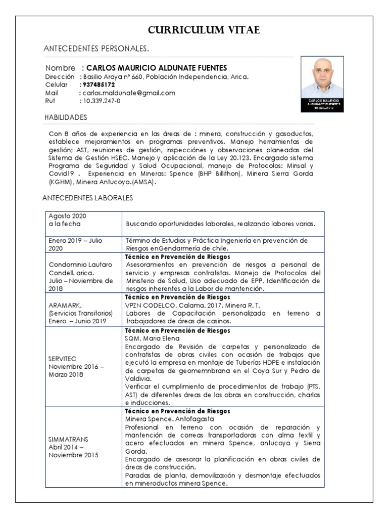 CV Carlos Aldunate Abril 2021 | PDF