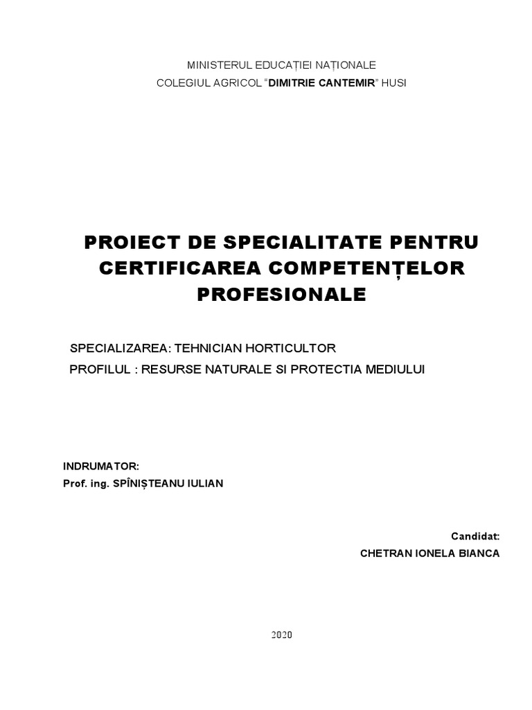 Proiect | PDF