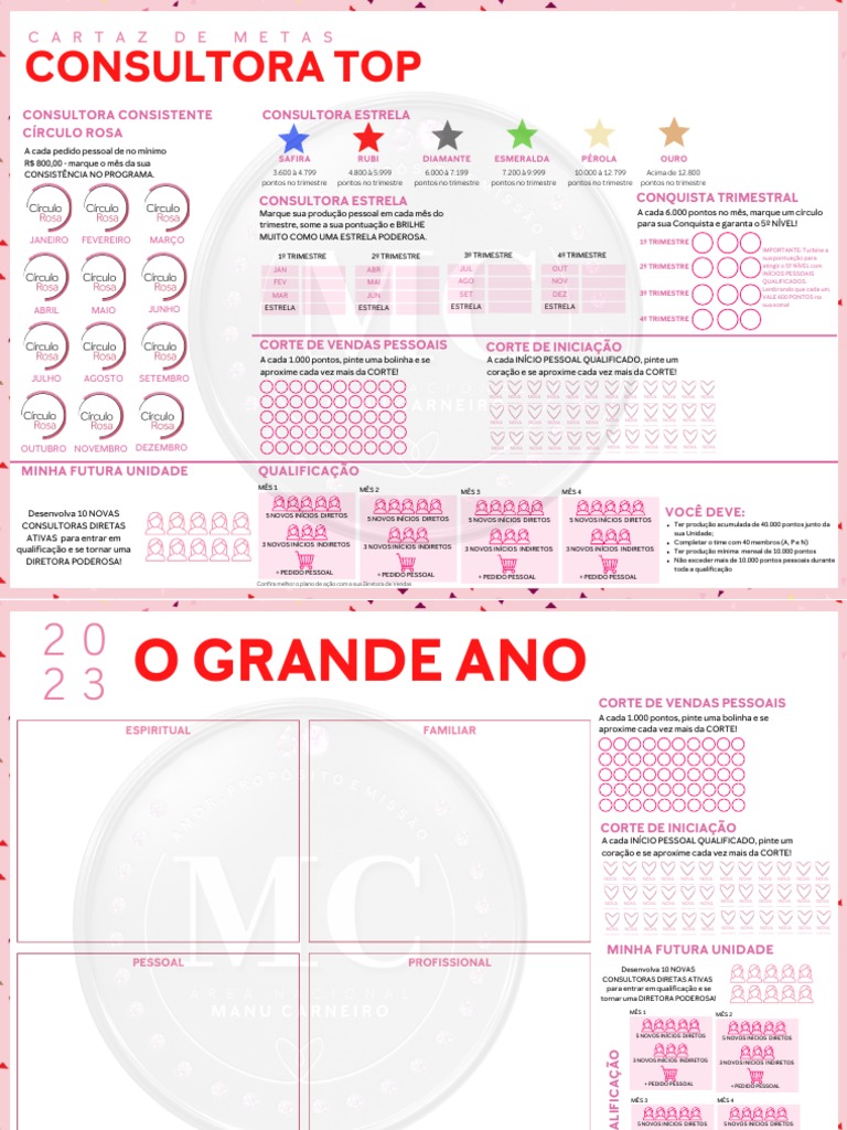 Cartaz de Metas Consultoras 2023 | PDF