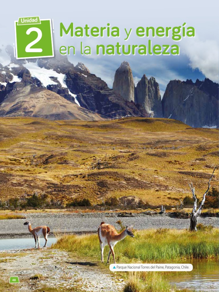 Cuadernillo C1 U2 Fotosíntesis y autotrofia | PDF | Fotosíntesis | Plantas