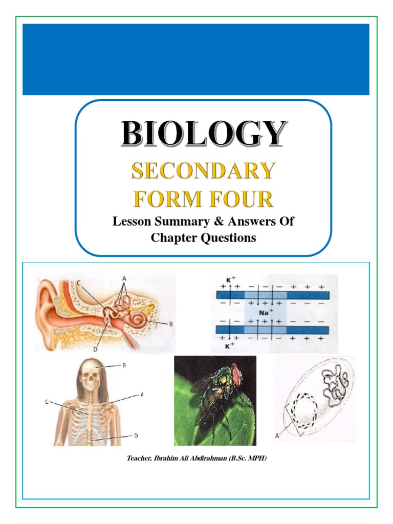 F4 Biology Lesson Summaries & Q&A | PDF | Neuron | Myelin