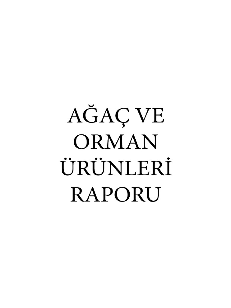 Agac Orma Urunleri Sektor Raporu | PDF